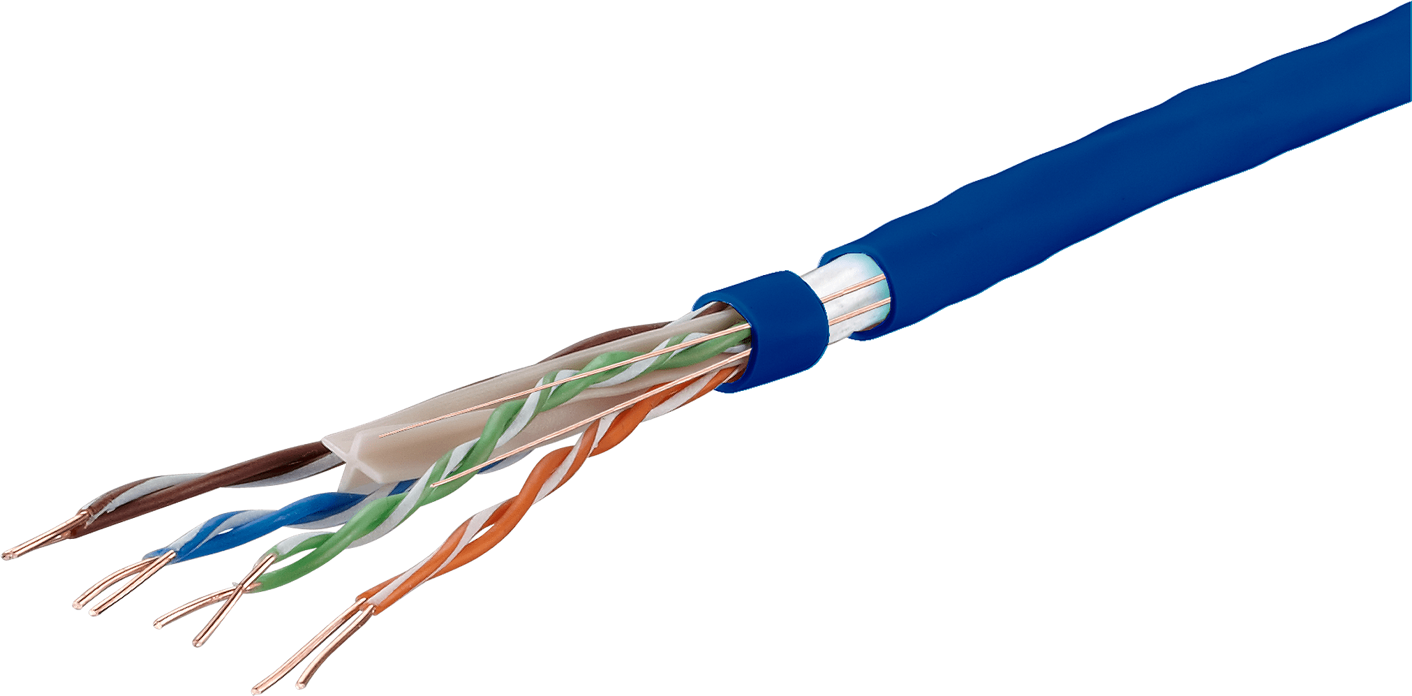 WHAT CAT IS BEST FOR YOU? 5 TYPES EXPLAINED | Lime Telenet